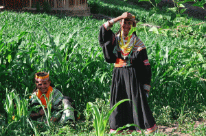 PakistanPaedia - Kafir Kalash